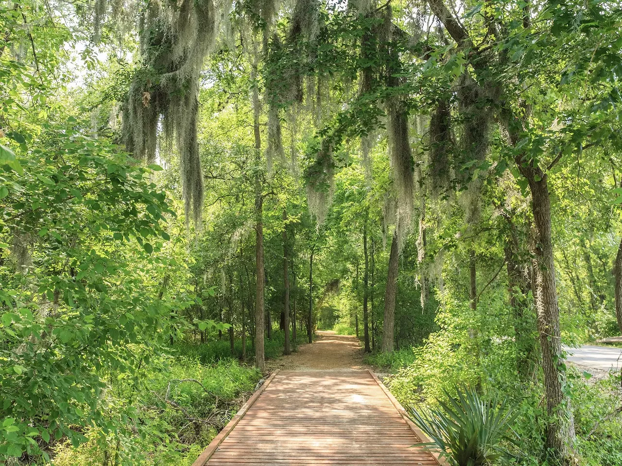 25 gorgeous state parks within driving distance of San Antonio | San ...