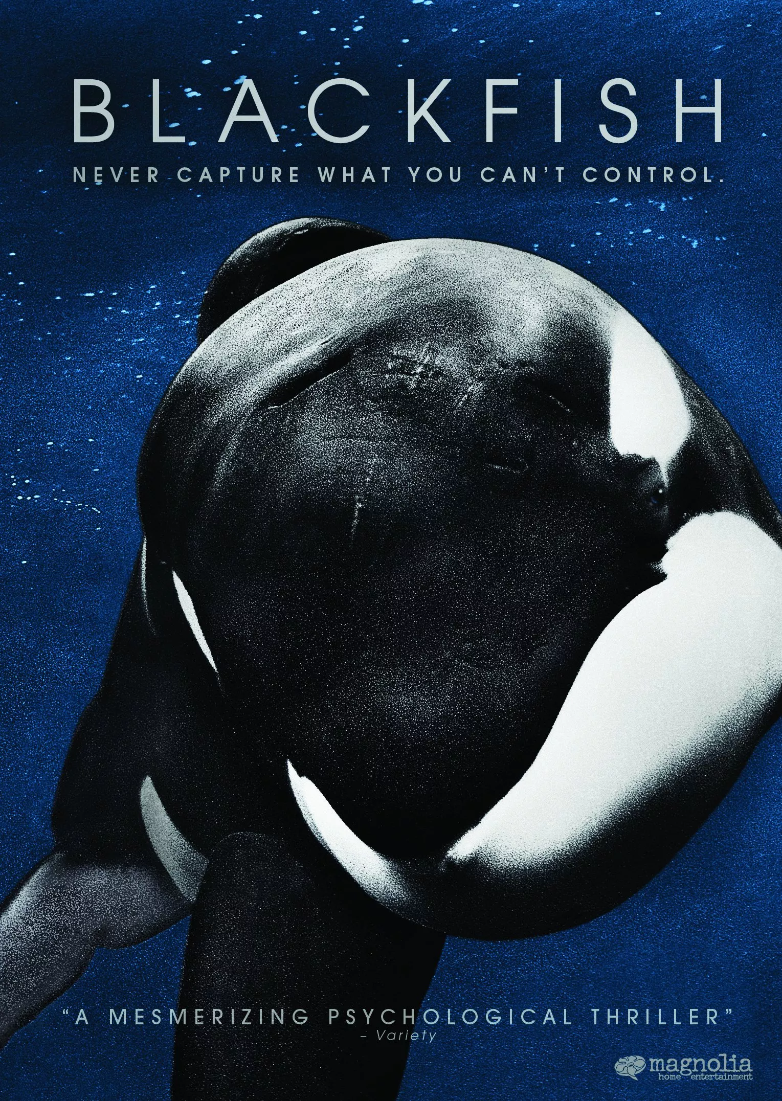 ‘Blackfish’ Out on DVD; 10,000 + Urge SW Airlines to End Ties with ...
